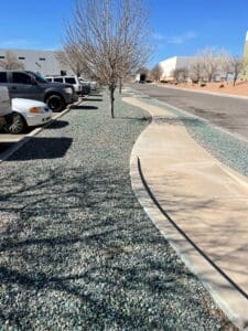 Weed Control Albuquerque ASAP Sands Outdoor Services 505-293-4014